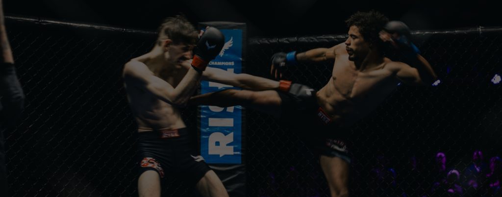 Fight - Champions Rise